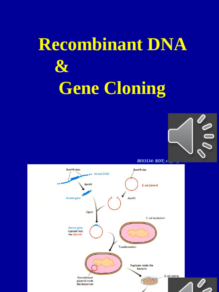RDT - S24-25-1 - Topic 5 - Gene Cloning | PDF