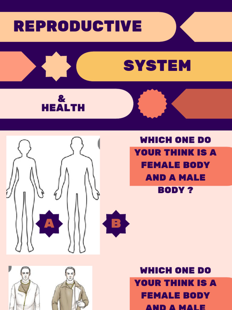 Toddle Dacb3a32 7226 4de7 Aa32 7fc1b4e94565 Reproductive System Grade 7 ...