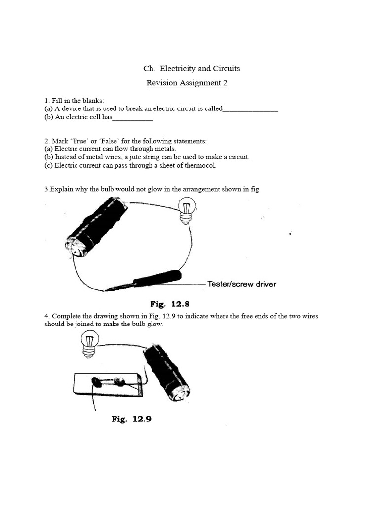 Electric Circuit Concepts and Activities | PDF