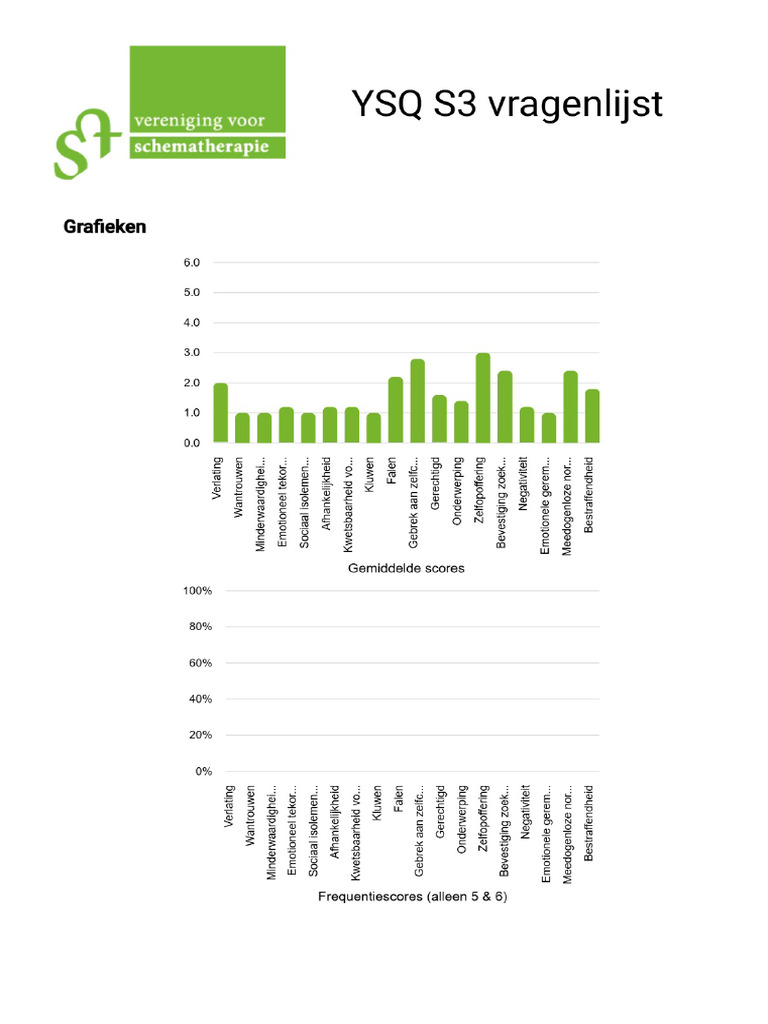 Resultaat YSQ S3 Vragenlijst | PDF
