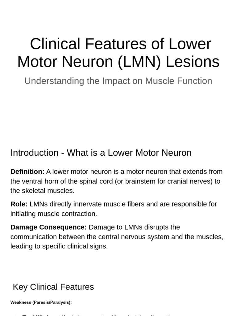 LOwer MOtor Neuron Lesion | PDF | Motor Neuron | Nerve