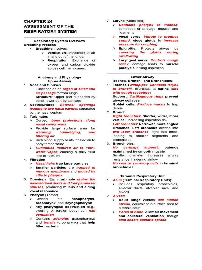 Lung Function Assessment Overview | PDF | Respiratory Tract | Lung