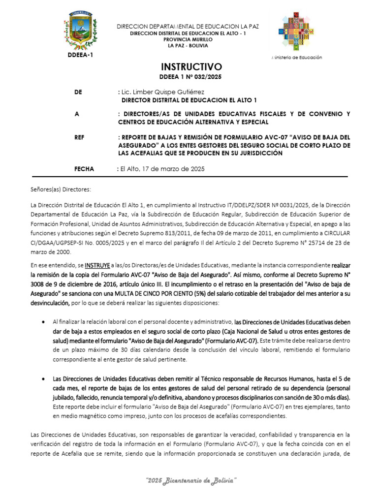 Instructivo 032-25 Reporte de Bajas y Remision de Form. Avc 07 | PDF ...