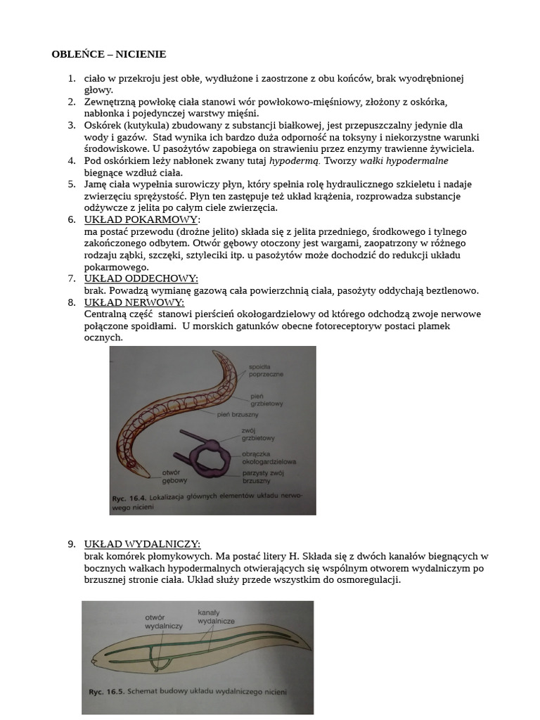 Nicienie | PDF