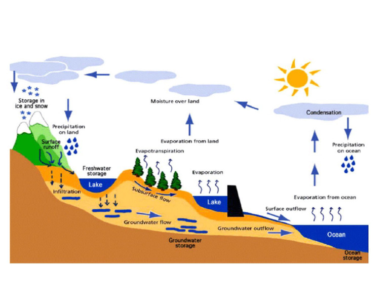 Water Cycle | PDF