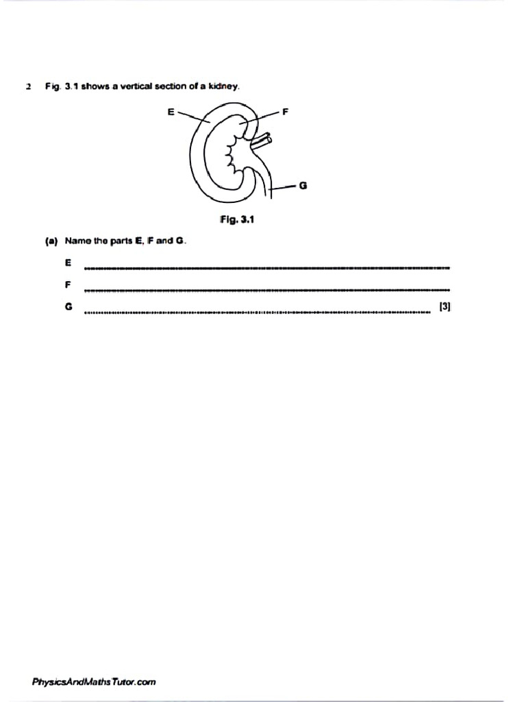 Bio Assignment | PDF