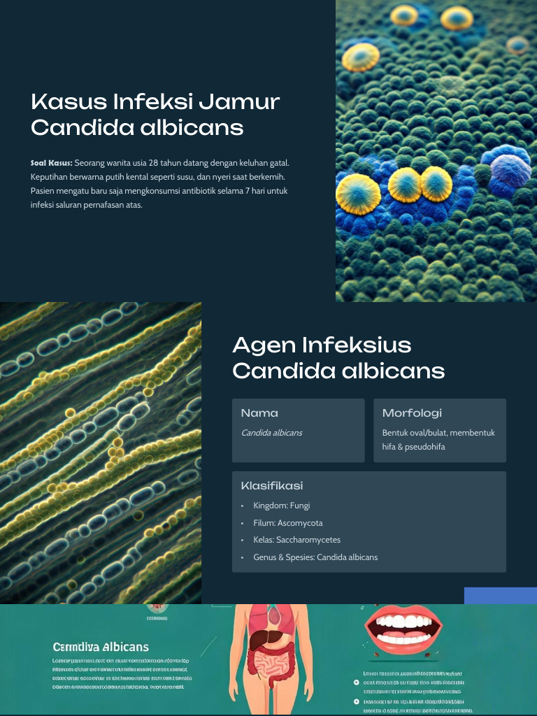 PPT Candida albicans Dipa | PDF