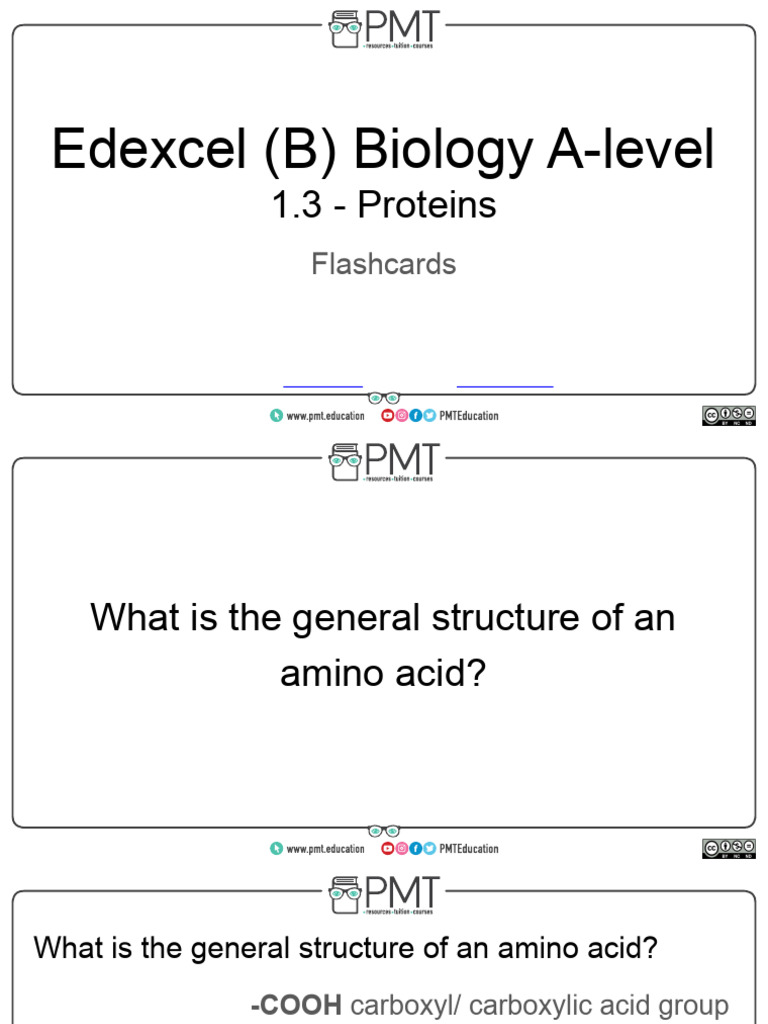 A-Level Biology: Protein Structures Guide | PDF | Proteins | Protein ...