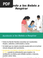 Micro, Matro y Macroambiente PDF | PDF | El embarazo | Embarazo Mamífero