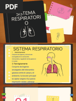 Anatomia de Via Aerea Inferior | PDF | Pulmón | Anatomía