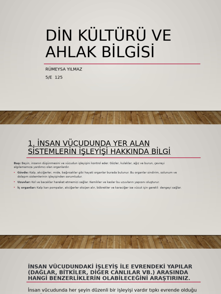 5.sınıf Sunu 1. | PDF