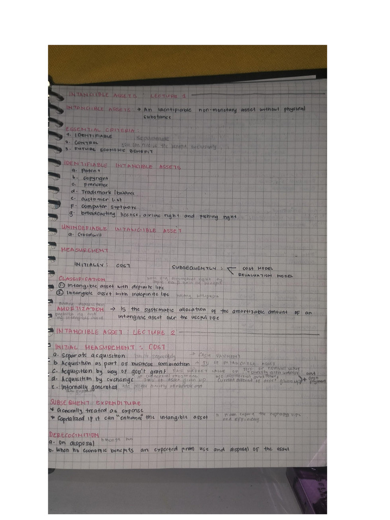 Intangible Asset | PDF