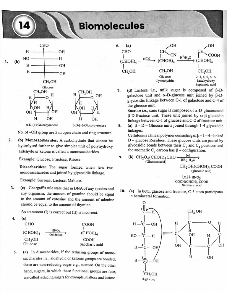 Biomolecules (Key) - 250504 - 223214 | PDF