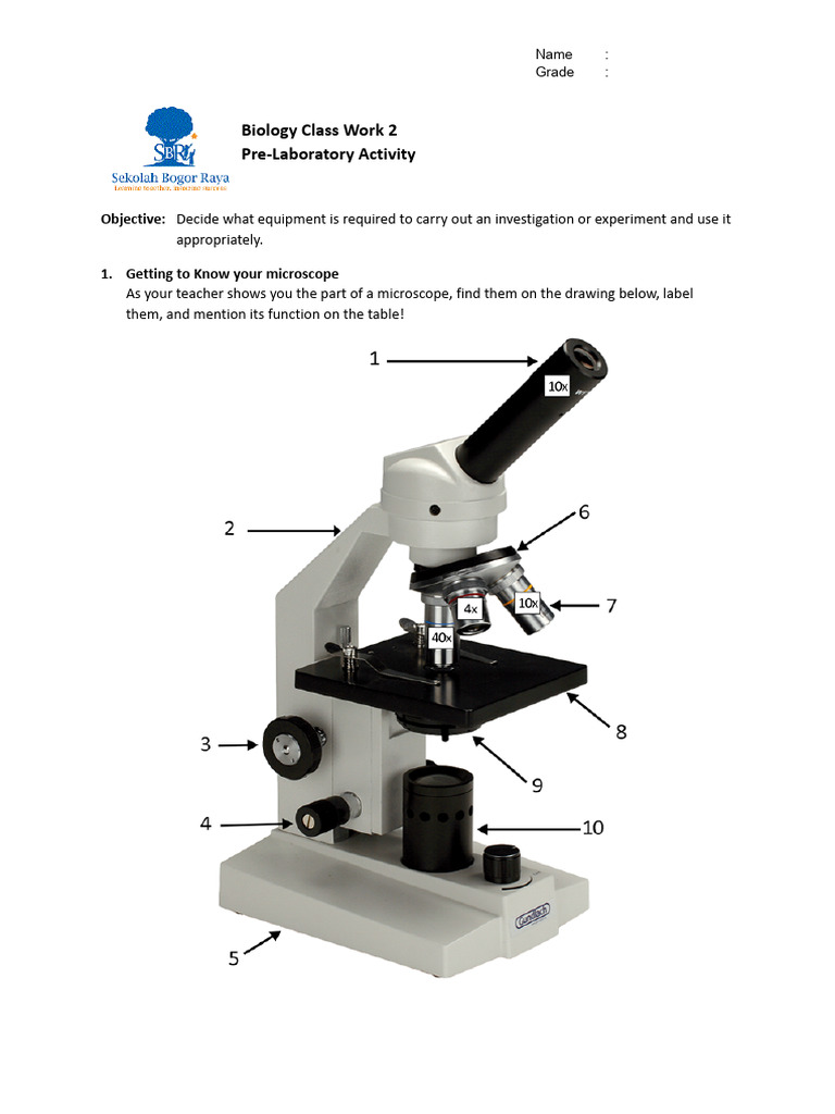 Biology Class Work 2-Microscope | PDF
