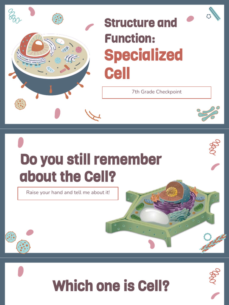 Structure and Function - Specialised Cell GR 7 | PDF
