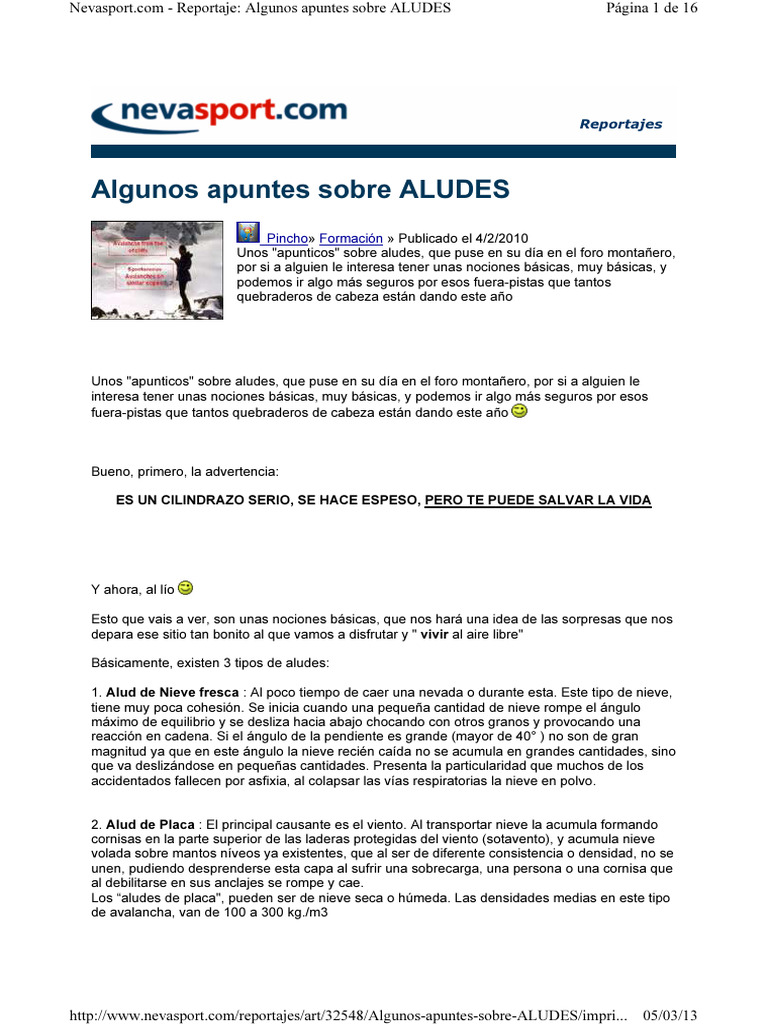 Nociones Básicas sobre Aludes en Montaña | PDF | Nieve