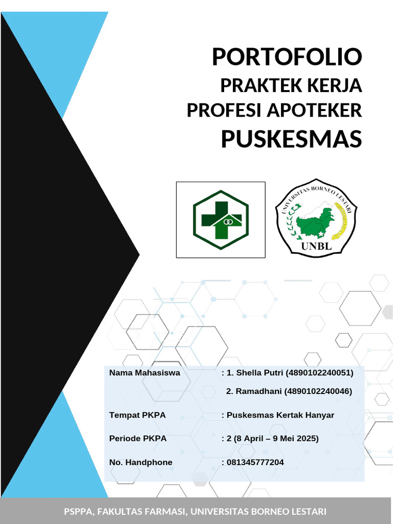 Portofolio Puskesmas 2023 29 April 2025 | PDF