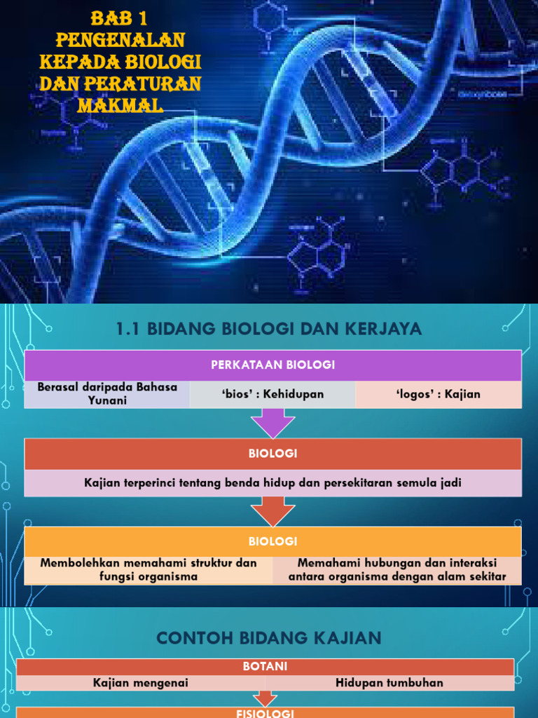 Bio Bab1 F4 | PDF