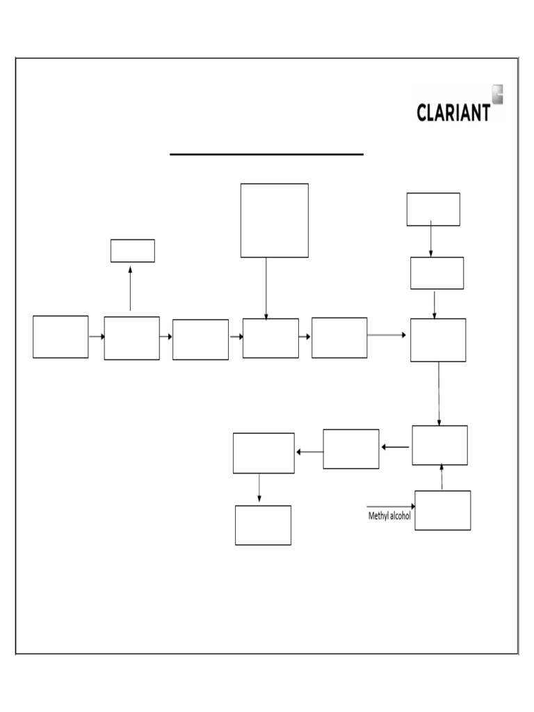 Eclipsogen BP3 Flowchart | PDF