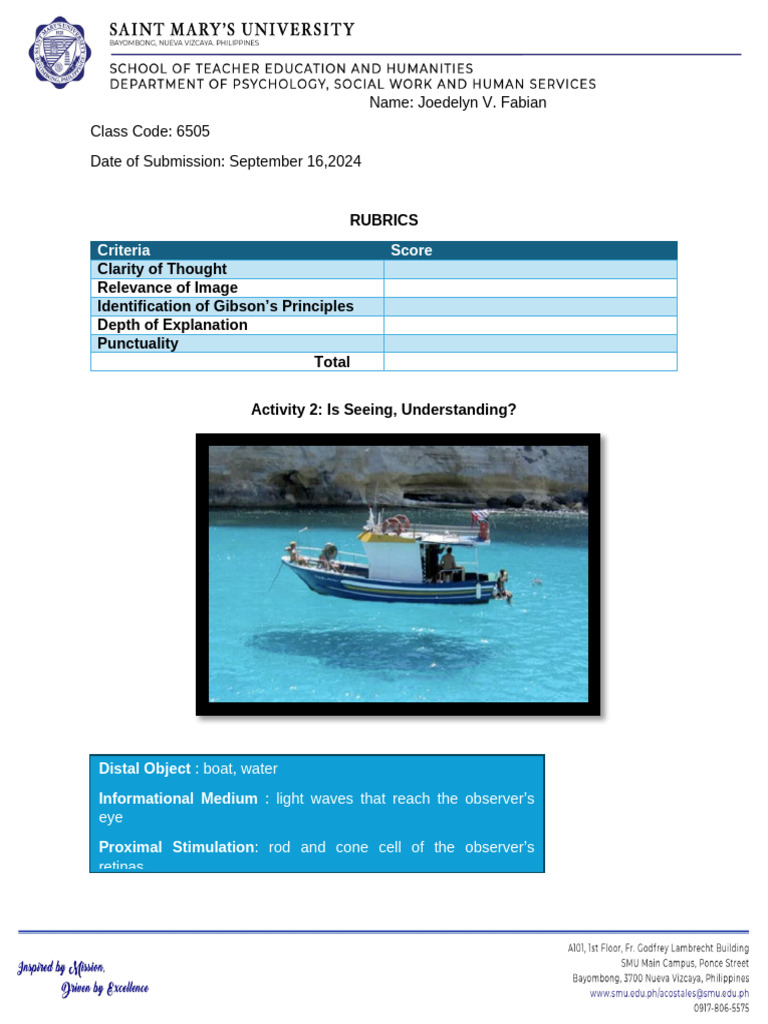 Cognitive Psych Assignment | PDF | Perception | Behavioural Sciences