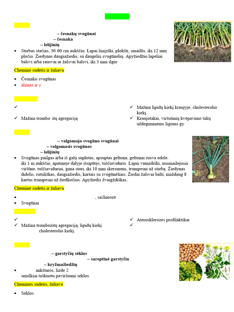 Augalai | PDF