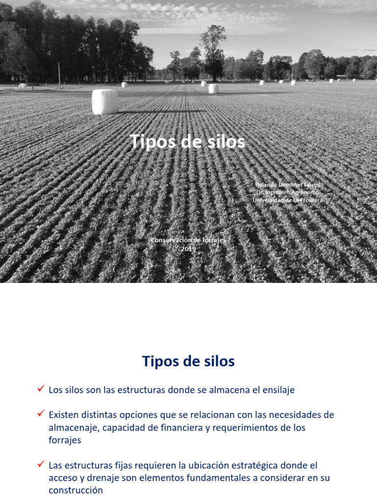 05.-Tipos de Silos | PDF | Heno