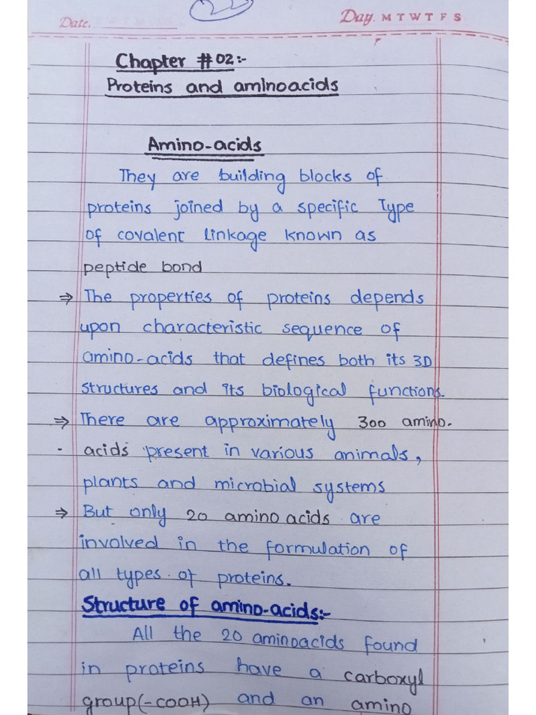 Protein and Amino Acid Hand Written | PDF