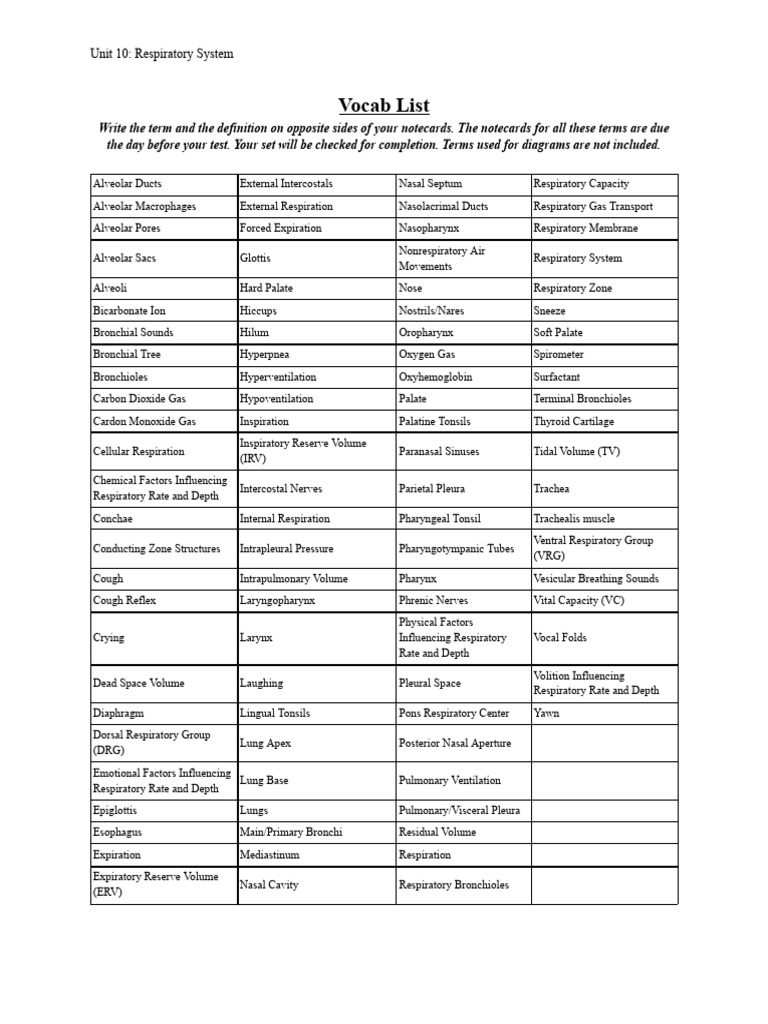 Unit 10 - Respiratory System | PDF | Lung | Respiratory System