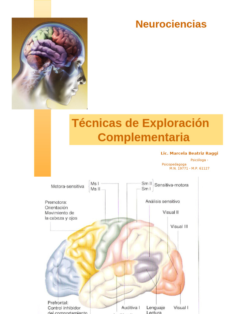 Técnicas de Exploración Complementaria | PDF