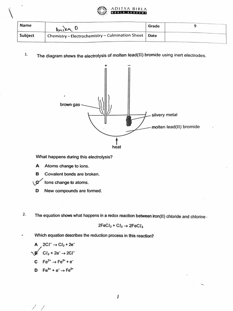Chemistry Electrolysis Culmination Worksheet | PDF