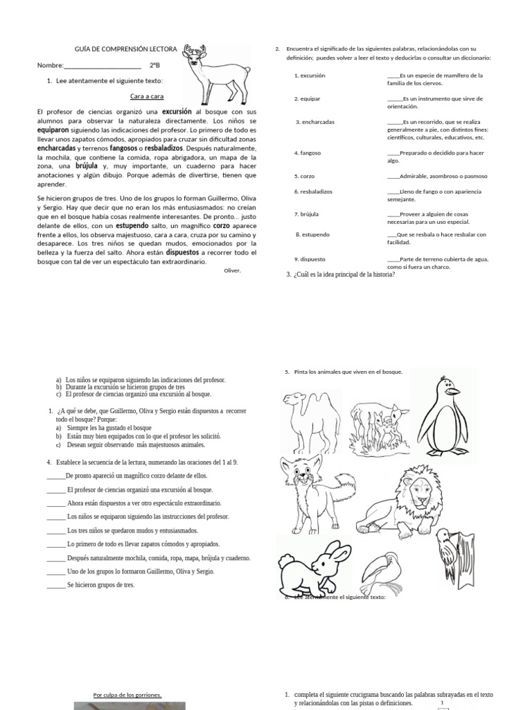 Guia de Comprension Lectora de 2 B Y1b | PDF