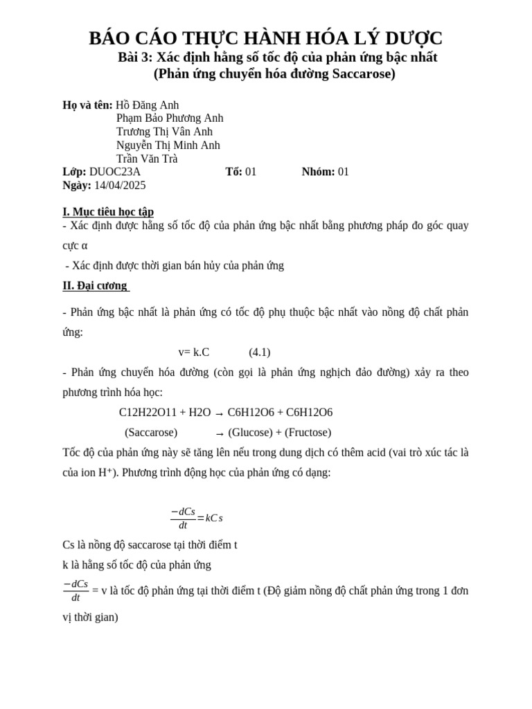 HLD Báo Cáo 3 | PDF