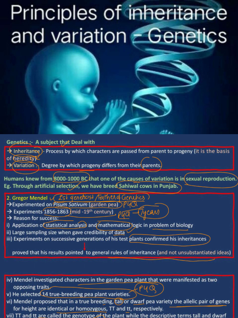 Genetic Part-1 Class Notes - Compressed | PDF