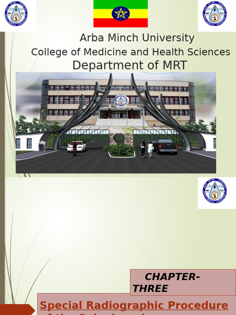 Myelography: Spinal Cord Imaging Guide | PDF | Vertebral Column | Vertebra