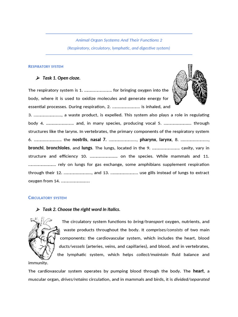 Animal Organ Systems and Their Functions 2 | PDF | Circulatory System ...