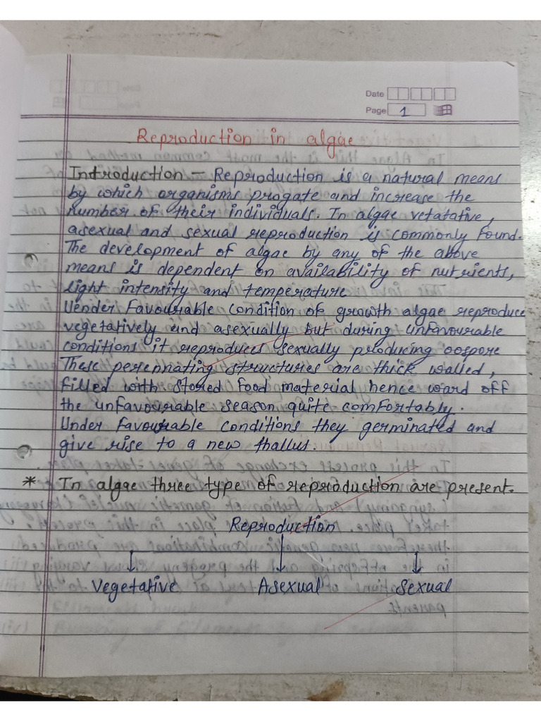 Botany Assignment | PDF