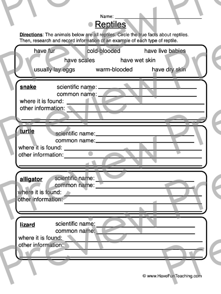 Reptiles Worksheet Preview | PDF