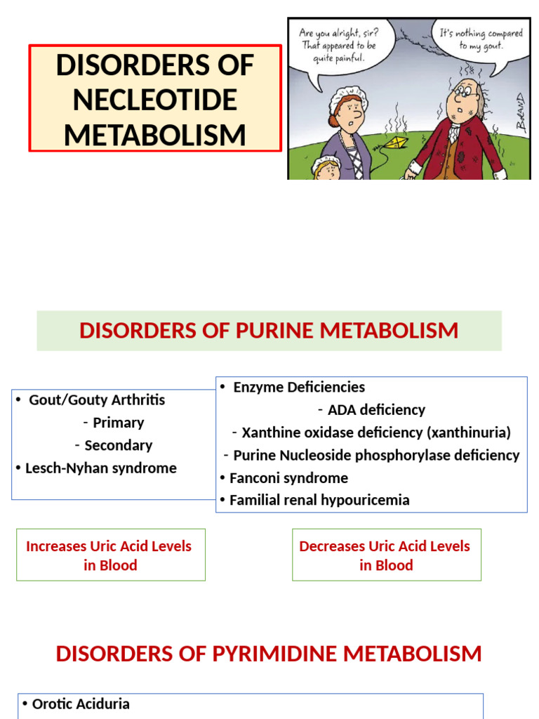 NUcleotide Metabolism Disorders | PDF | Gout | Diseases And Disorders