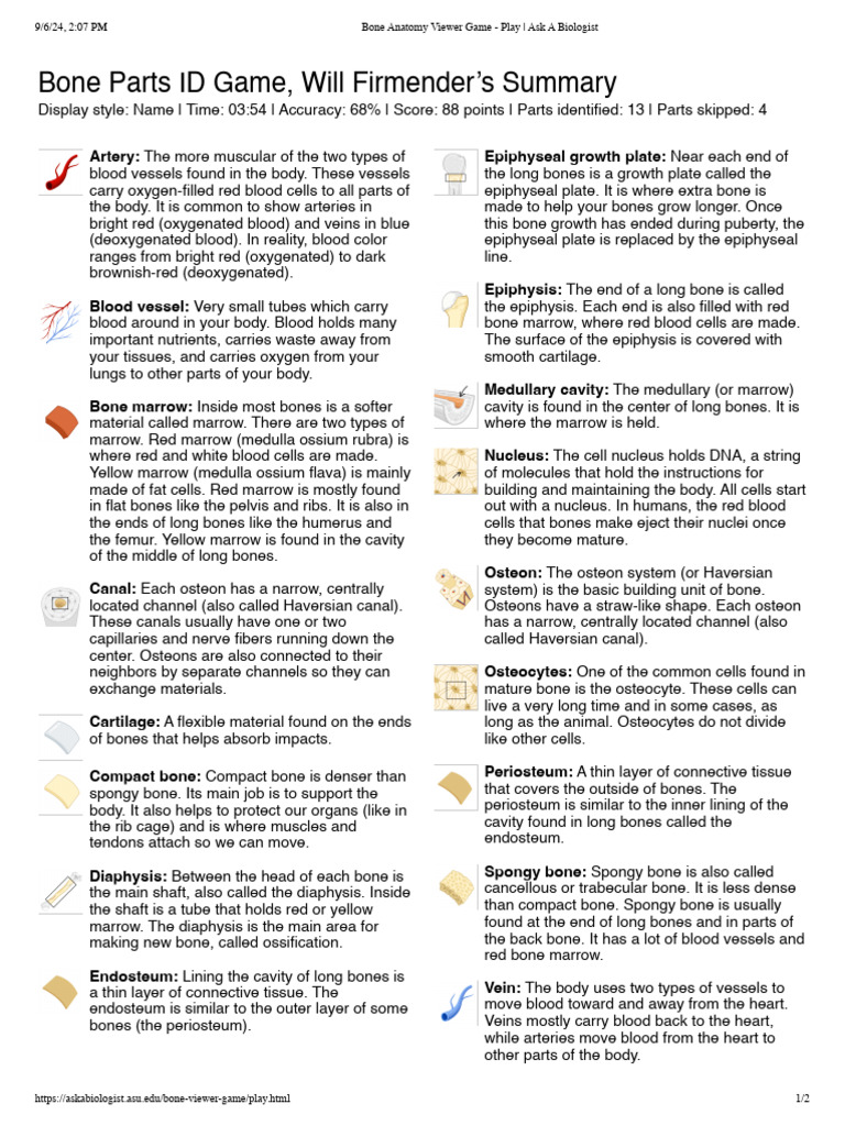 Bone Anatomy Viewer Game - Play - Ask A Biologist | PDF | Bone | Bone ...