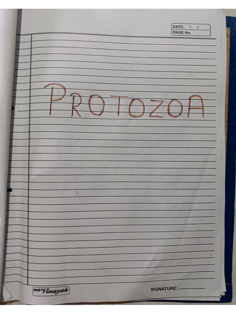 Zoology Practical | PDF