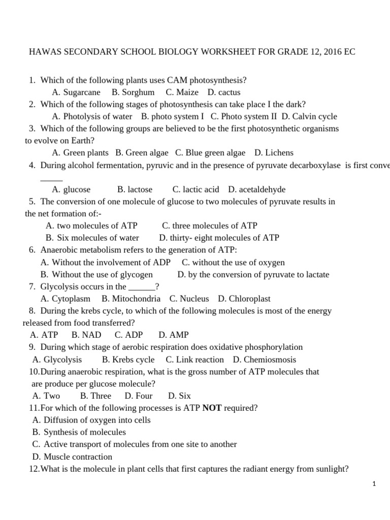 500 Biology Question For Grade 12 | PDF | Cellular Respiration ...