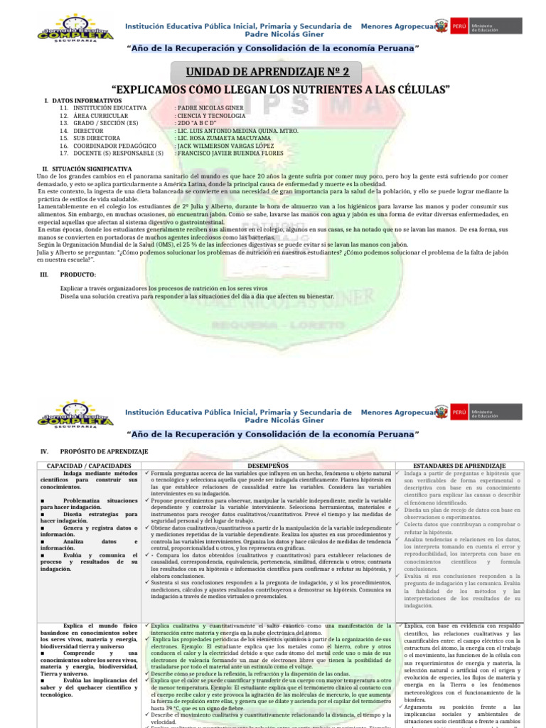2 Unidad Didactica - 2025 - 012012 | PDF | Evaluación | Aprendizaje