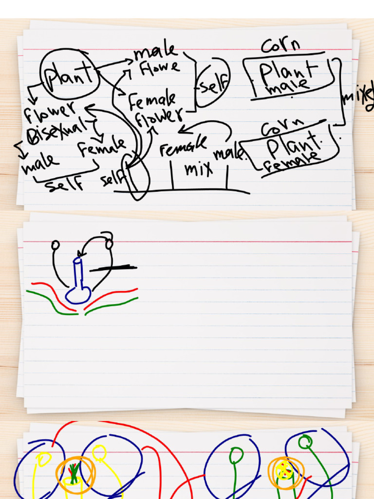 Genetics Mendel | PDF