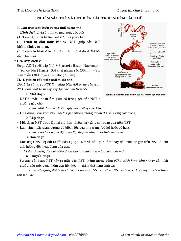 Bai5,6-NST&ĐB | PDF