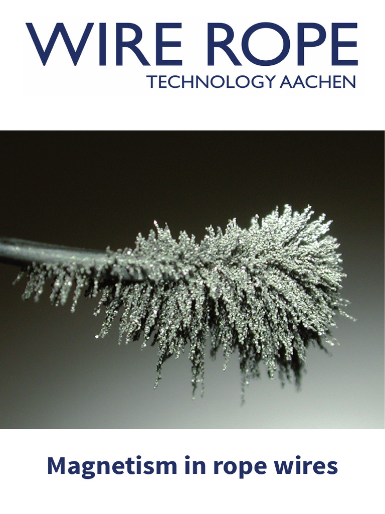 Bro - Magnetism in Rope Wires | PDF | Scanning Electron Microscope ...