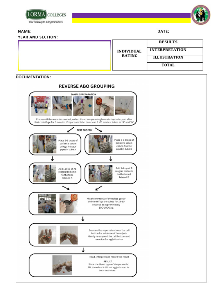 Act 5 Individual Report | PDF
