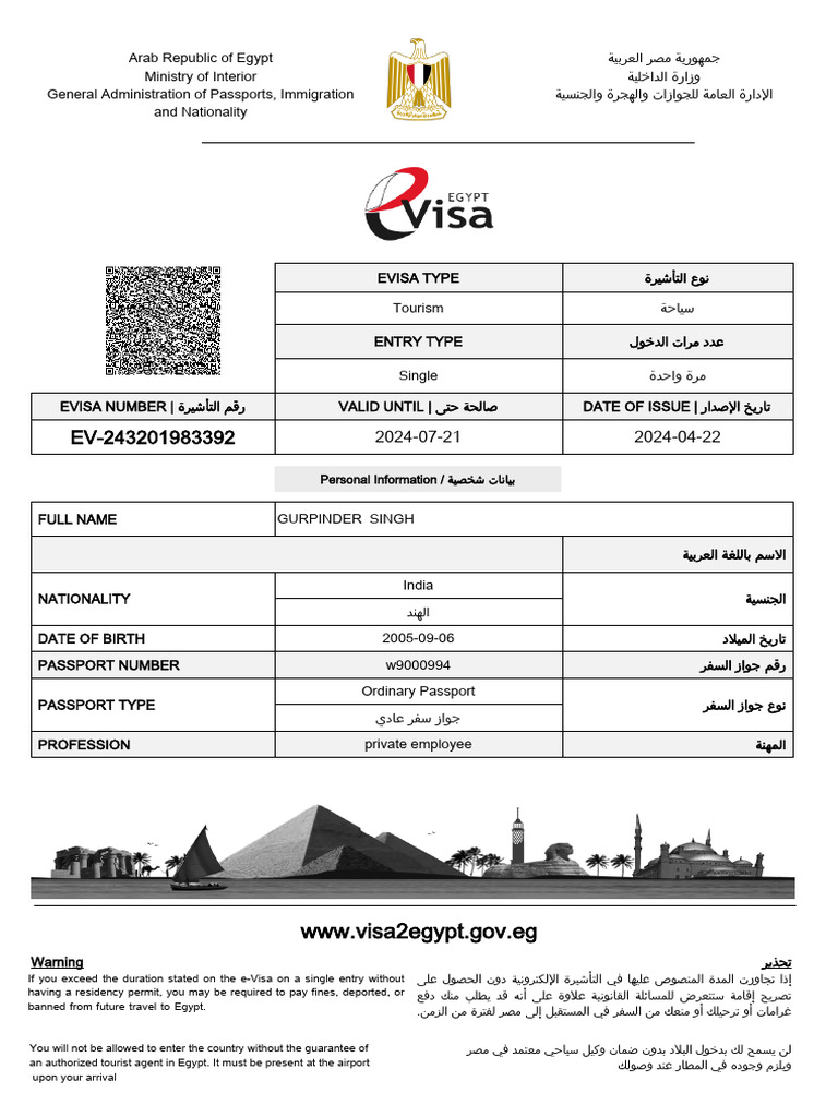 Egypt e-Visa Travel Requirements | PDF | Passport | Cultural Globalization