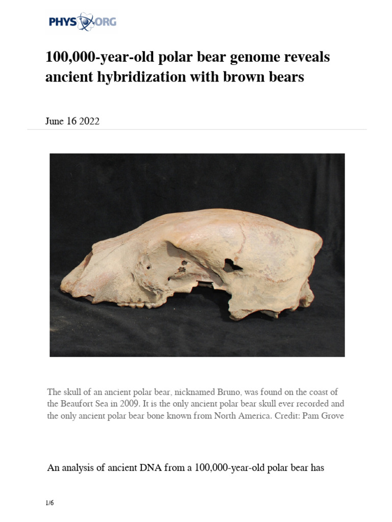 2022 06 Year Old Polar Genome Reveals Ancient | PDF | Polar Bear | Bears