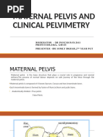 Clinical Pelvimetry | PDF | Pelvis | Vagina