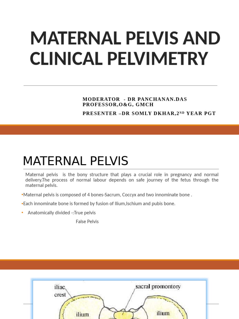Maternal Pelvis and Clinical Pelvimetry Seminar | PDF | Pelvis ...